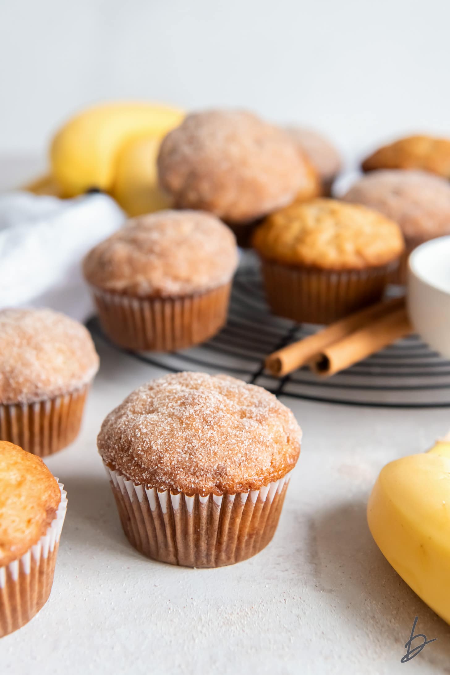 Banana Cinnamon Muffins – If You Give a Blonde a Kitchen