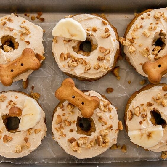 Easy Dog Donuts Recipe – If You Give a Blonde a Kitchen