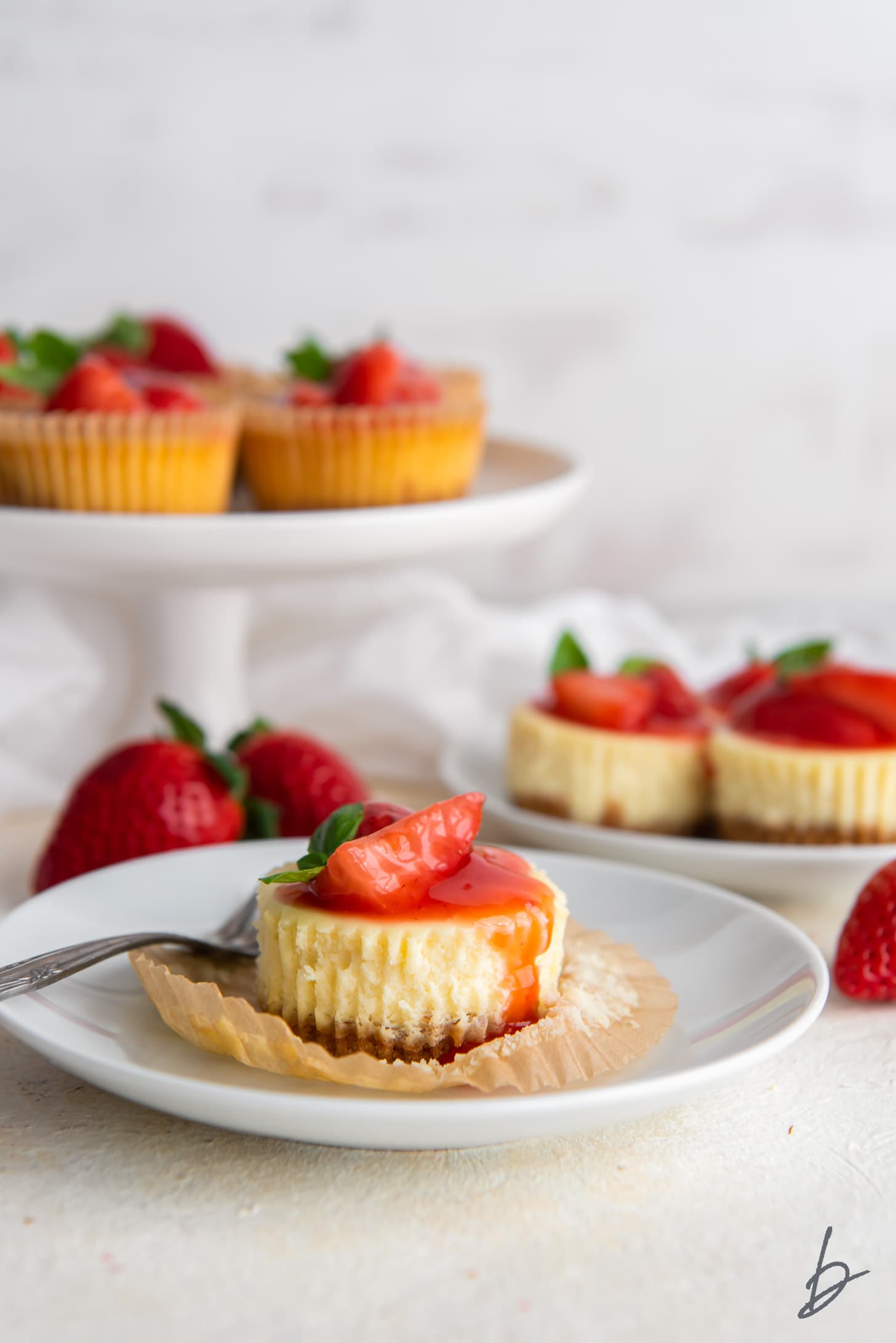 Mini Cheesecakes – If You Give a Blonde a Kitchen