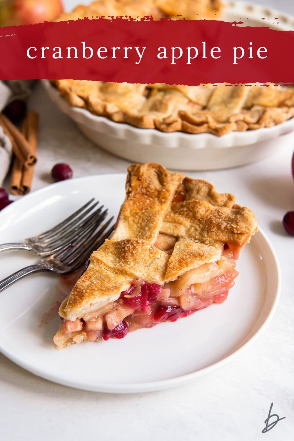 Cranberry Apple Pie – If You Give a Blonde a Kitchen