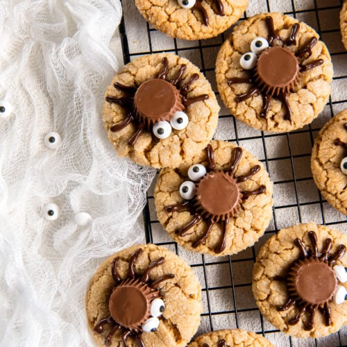 Peanut Butter Spider Cookies – If You Give a Blonde a Kitchen
