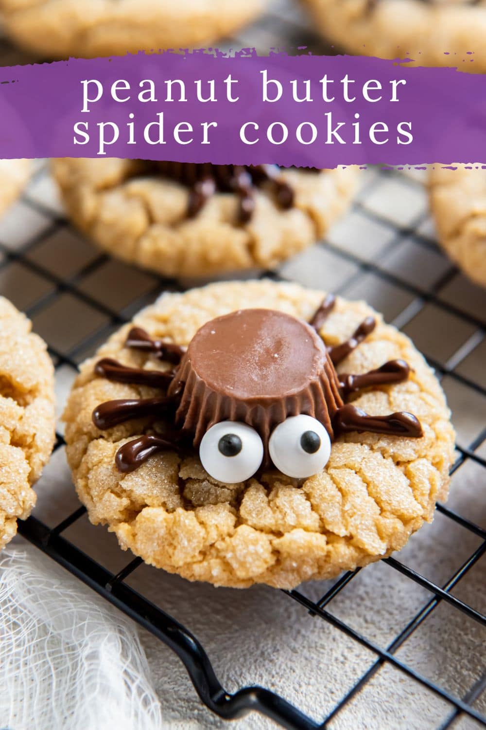 Peanut Butter Spider Cookies – If You Give a Blonde a Kitchen