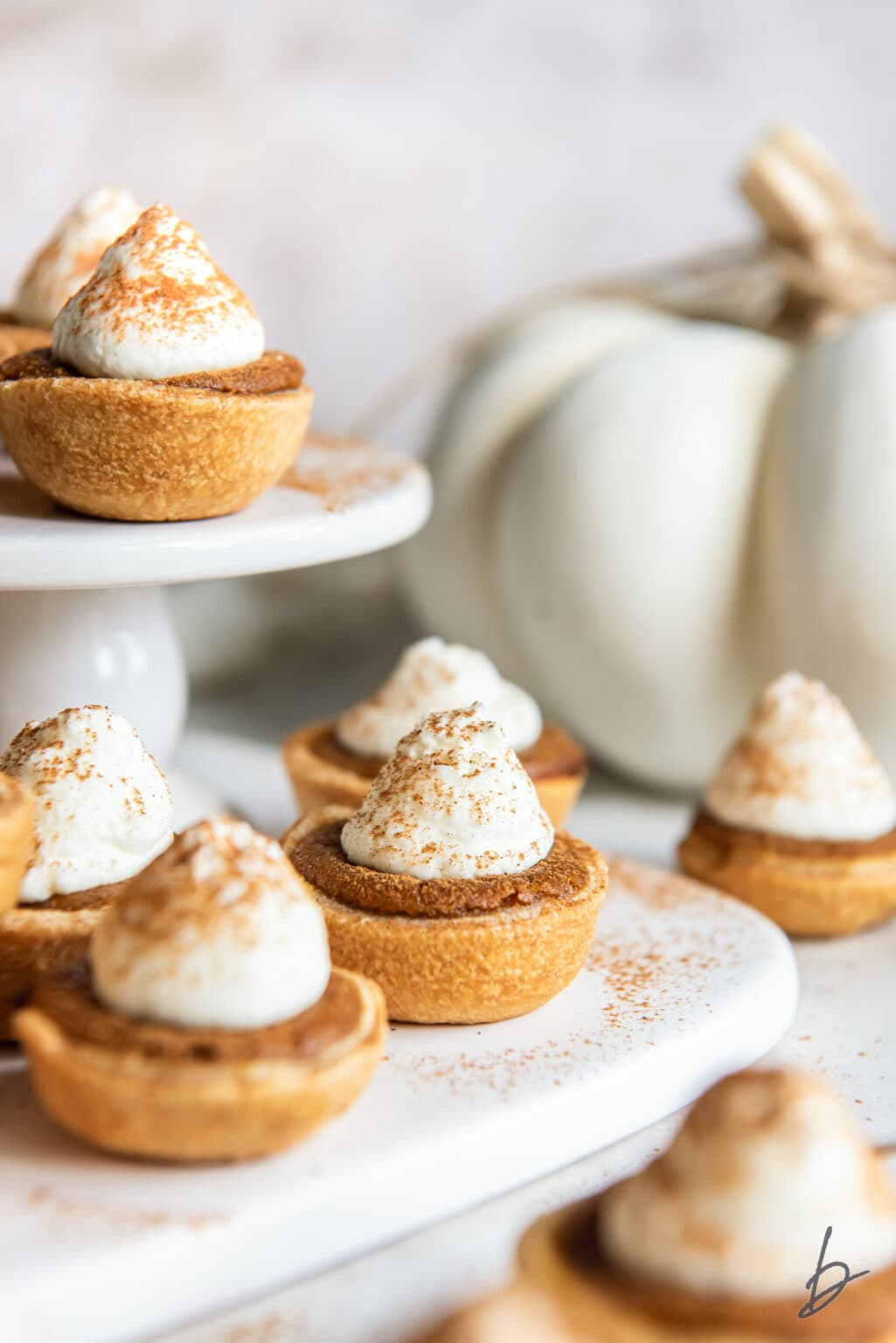 Easy Mini Pumpkin Pies – If You Give a Blonde a Kitchen