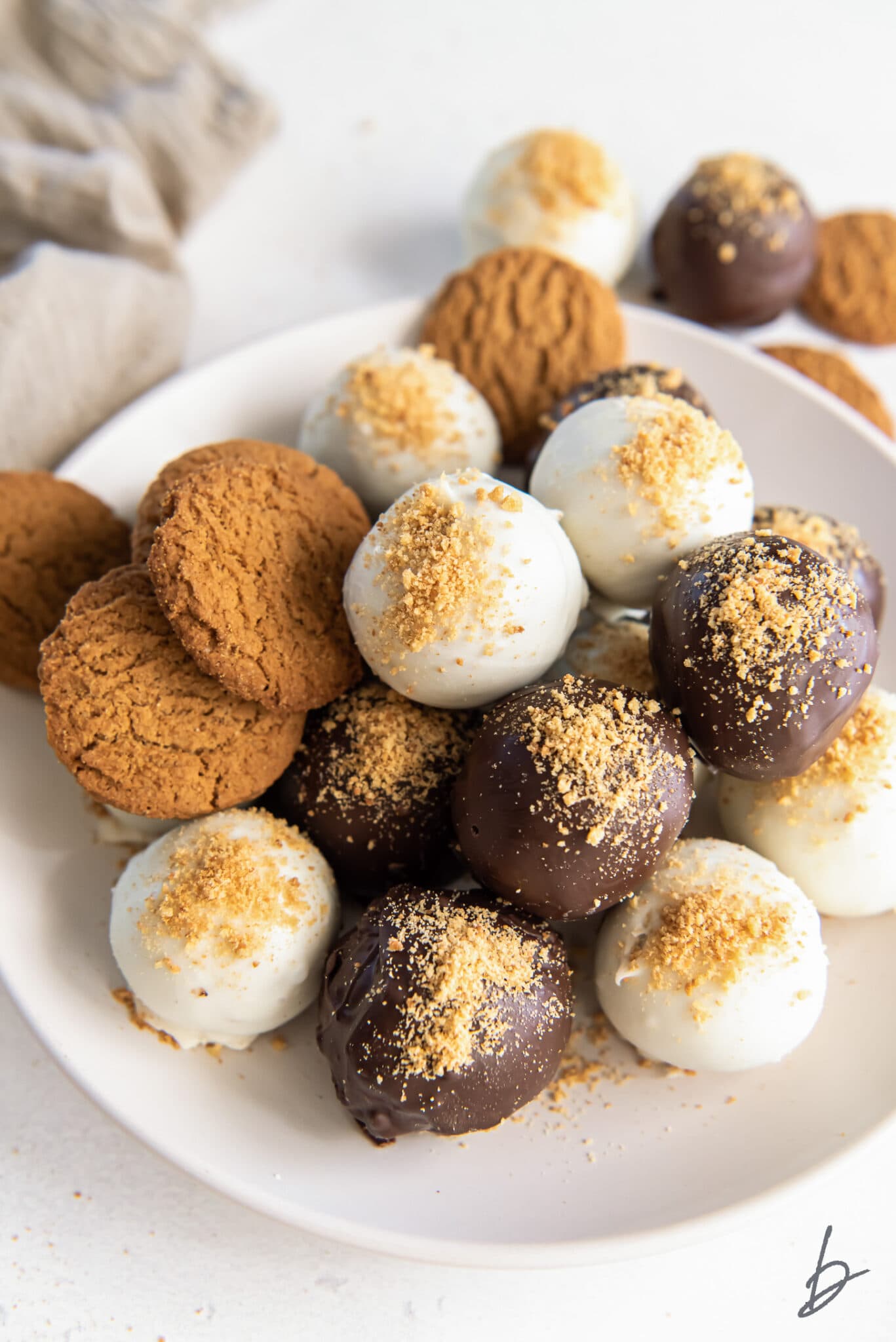 Easy Gingerbread Truffles – If You Give a Blonde a Kitchen