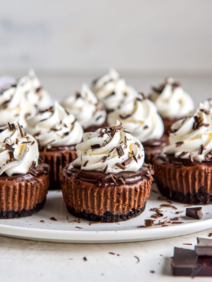 Mini Chocolate Cheesecakes with Oreo Crust – If You Give a Blonde a Kitchen