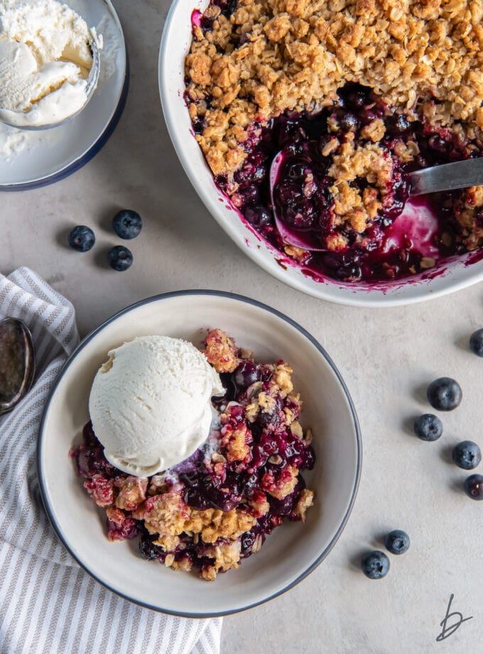 Easy Blueberry Crisp with Oats – If You Give a Blonde a Kitchen