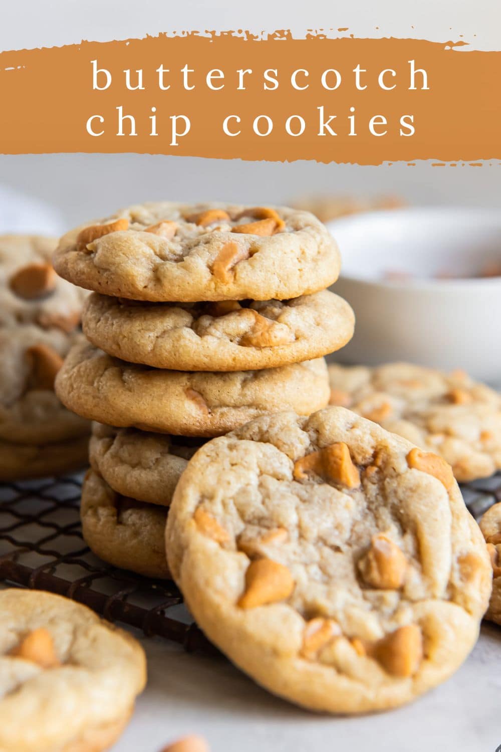 Easy Butterscotch Chip Cookies – If You Give a Blonde a Kitchen