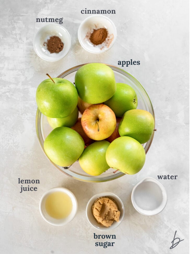 Easy Apple Compote with Cinnamon – If You Give a Blonde a Kitchen