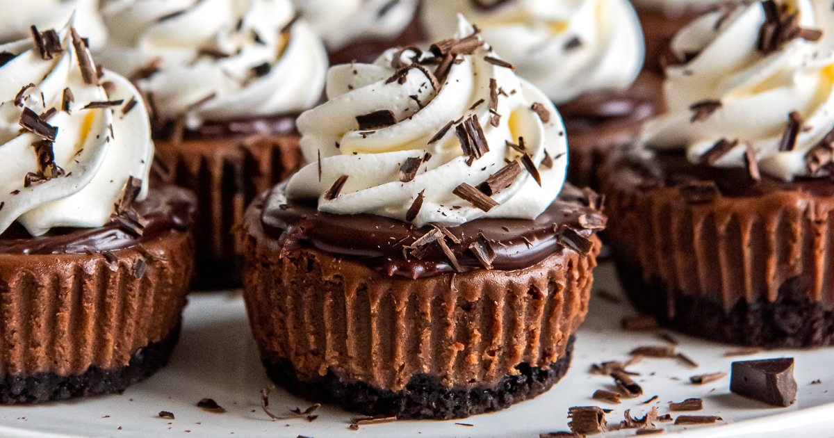 Mini Chocolate Cheesecakes with Oreo Crust – If You Give a Blonde a Kitchen