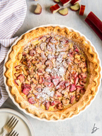 Rhubarb Custard Pie – If You Give a Blonde a Kitchen