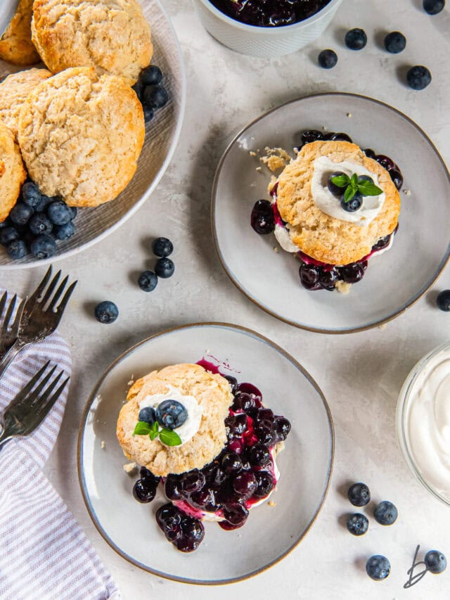 Easy Blueberry Shortcake from Scratch – If You Give a Blonde a Kitchen