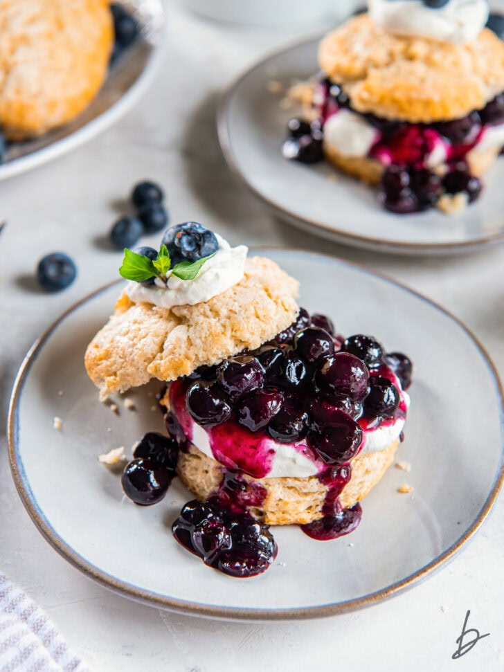 Easy Blueberry Shortcake from Scratch – If You Give a Blonde a Kitchen