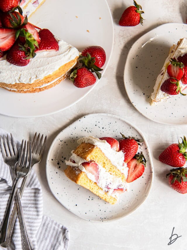 Vanilla Sponge Cake – If You Give a Blonde a Kitchen