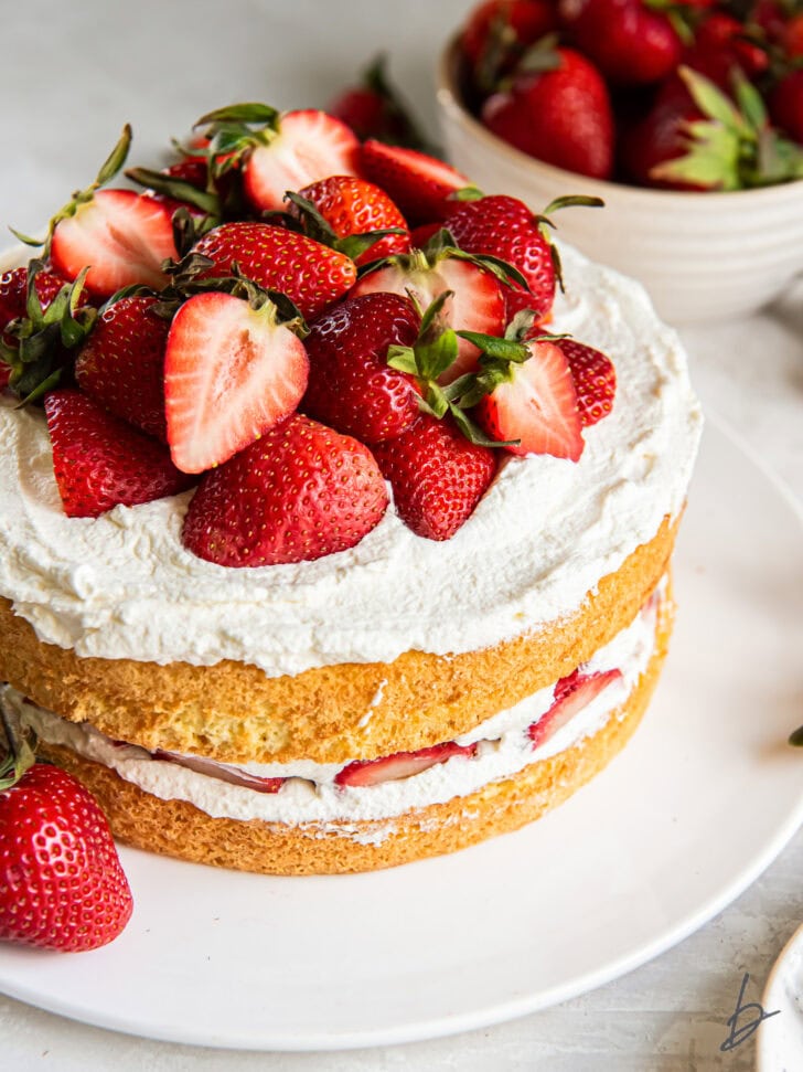 Vanilla Sponge Cake – If You Give a Blonde a Kitchen